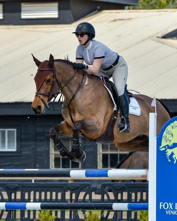 Outside Resources – Crosswind Stables